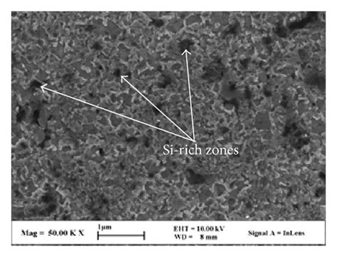 Typical Sem Micrographs On The Etched Surfaces Of The Prepared Wc Ni