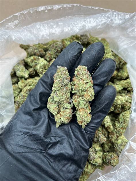 Future X Strain Puff La Official