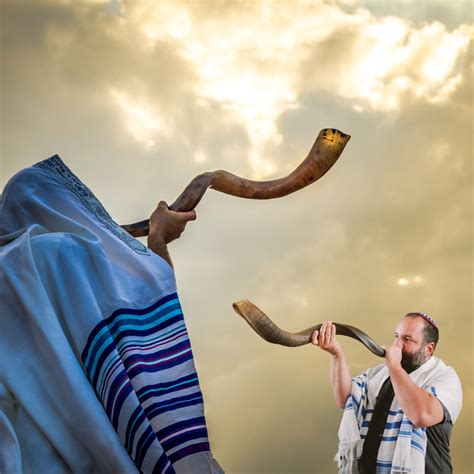 Shofar For Sale In The Us Shofar Kings