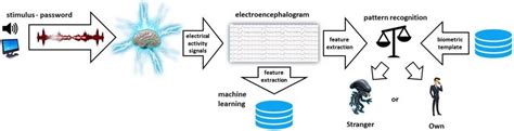 biometric authentication based on eeg spectral and correlation