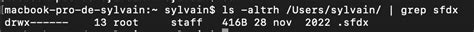 Salesforce Command Sfdx Create Project Resulted In An Error
