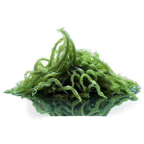 Download Algae Based Textile Fiber Png Wuf92