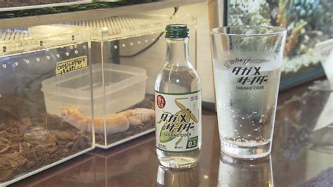 爬虫類カフェバー「repl（レプル）」爬虫類と触れ合う非日常体験で癒されよう