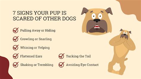 Frightened Dog Symptoms