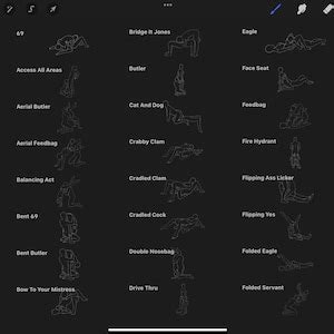 Oral Sex Position For Procreate Photoshop Brush And Clip Studio Paint Brush Etsy