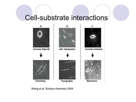 Ppt Bioelectronics Powerpoint Presentation Free Download Id2168378