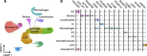 Harnessing Expressed Single Nucleotide Variation And Single Journal Of The American Society