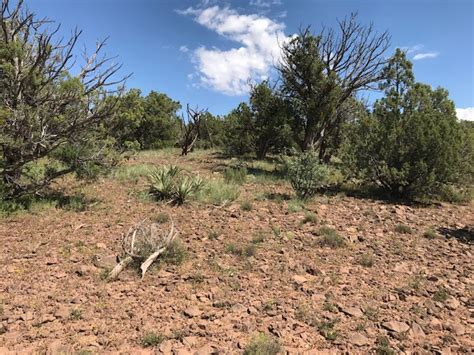 Unit 10 Lots 453 454 And 455 Show Low Pines In Show Low Az