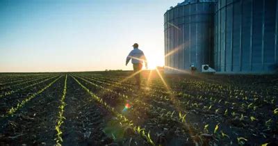 2023 Planting Guide Pioneer® Seeds