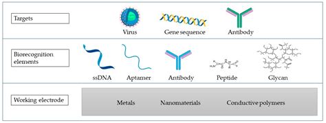 Electrochemical Impedimetric Biosensors For Virus Detection Electrochemical Impedimetric Biosensors For Virus Detection