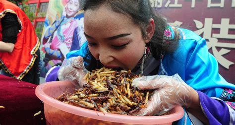 ФОТО Өт хорхой хурдан идэх тэмцээн боллоо