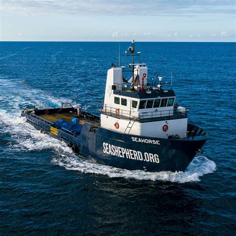 Our Fleet — Sea Shepherd Conservation Society