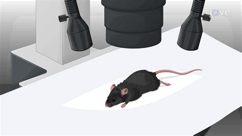 Video Delivery Of A Fluorescent Dye Into The Subretinal Space Of A Mouse Experiment
