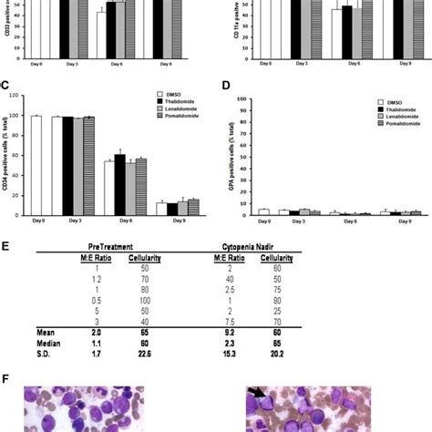 Lenalidomide And Pomalidomide Induce Development Of Granulocytic Download Scientific Diagram