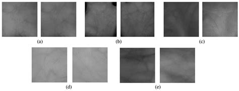 Hybrid Feature Extractor Using Discrete Wavelet Transform And Histogram Of Oriented Gradient On