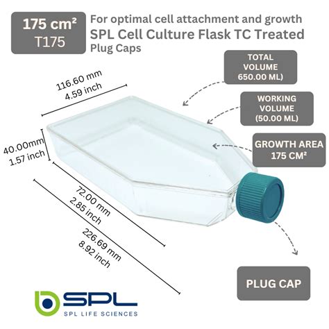 Spl Cell Culture Flask 175 Cm2 T175 Plug Cap Treatment Sterile 40 Spl Cell Culture Flask 175 Cm2 T175 Plug Cap Treatment Sterile 40
