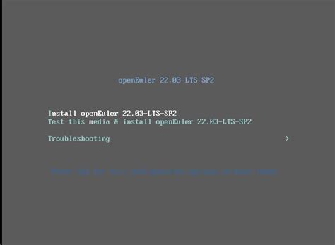求助， vmware17安装 openeuler22 03时，没有网卡 3，来自 uuhit installation 安装部署