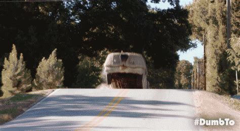 Dumb And Dumber Gifs Get The Best Gif On Giphy