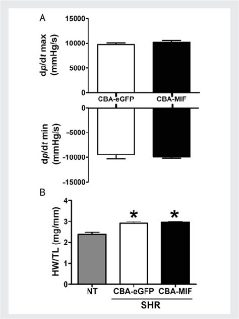 Mif Transduction In The Nts Does Not Alter Heart Function Or Cardiac