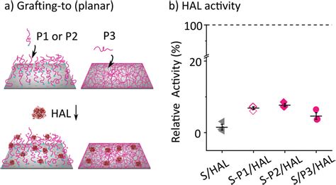 Surfaces Coated With Polymer Brushes Work As Carriers For Histidine Ammonia Lyase Marcelino