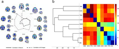 Consistency Within And Across Labels A Results Of Spatial Consistency Download Scientific