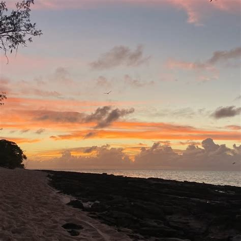 Thomas Busbridge Tbuzzy16 On Threads