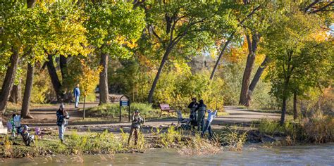 River Ecosystem River Ecosystem Is Gearing Up For River Networks