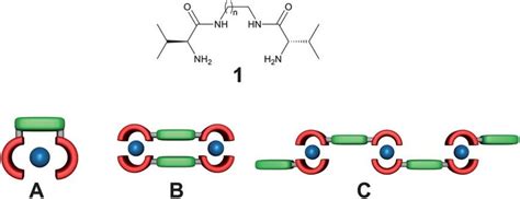Scheme 1 Possible Stoichiometries For Coordination Complexes With Download Scientific Diagram
