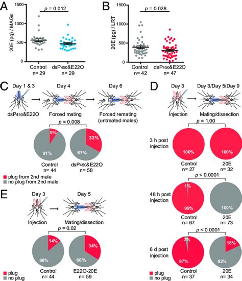 Sexual Transfer Of E Triggers A Long Lasting Loss Of Receptivity In Download Scientific