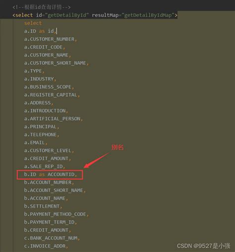 Mybatis返回resultmap中两个表的id查询干扰问题一个resultmap中有两个id Csdn博客
