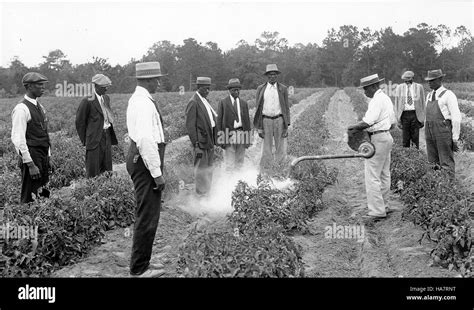 The Usda Continues Its Commitment To Science Based Environmental Policy