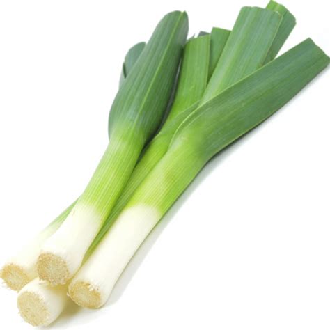 50 Giant Winter Leek Seeds Welldales