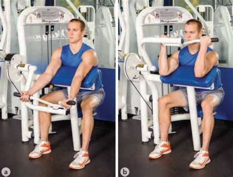 Machine Biceps Curl Exercise Bodybuilding Wizard