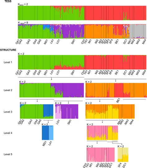 Estimates Of Admixture Proportions Inferred By The Most Probable Kmax Download Scientific