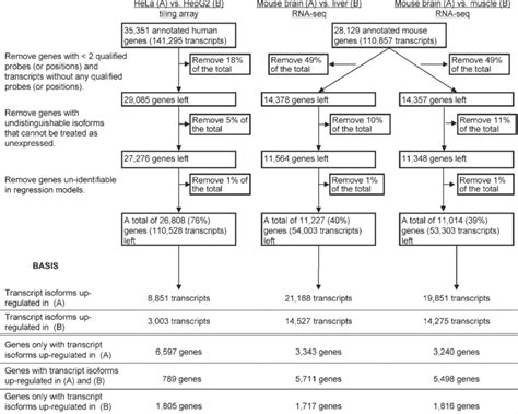 Workflow Of The Prescreening Steps And Basis Results Download