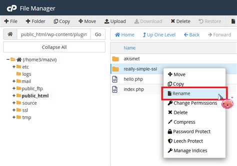 Disable Themes Atau Plugin Tutorial Domosquare Com