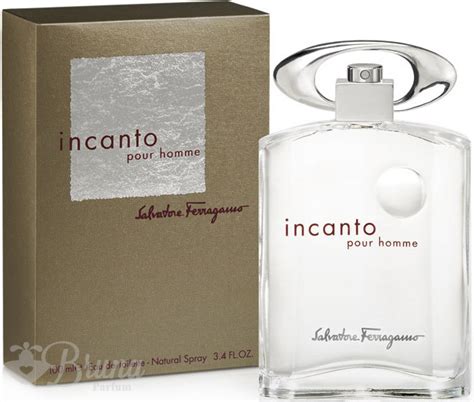 Купить духи Salvatore Ferragamo Incanto pour Homme оригинал духи ...