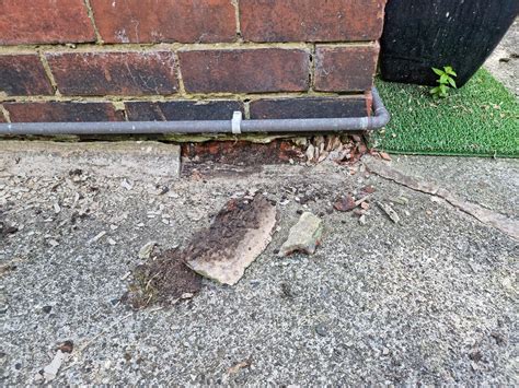 Low Level Brick Spalling Brickwork Fracture General Structural