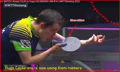 Wang Chuqin Equipment Updated Pingsunday