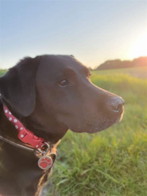 Datascience Norfolk Norwich Chris Ballard