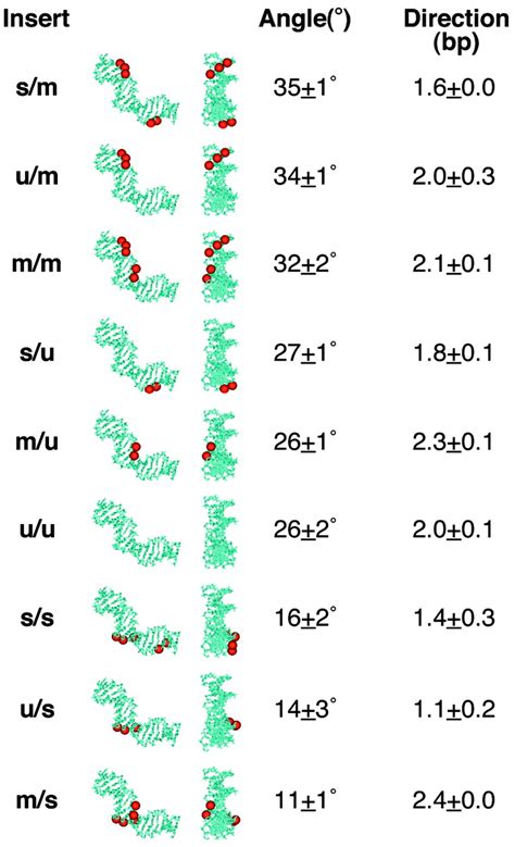 Results Of Charge Neutralization Experiments Dna Inserts Are Ranked On
