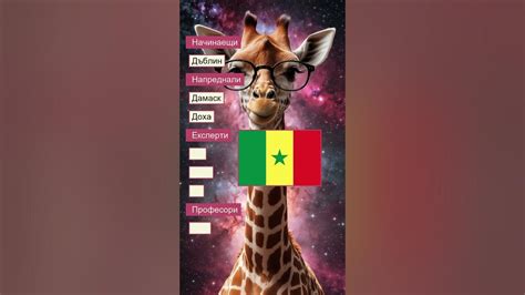 Познайте столиците на държавите 🌍🏛️ Youtube