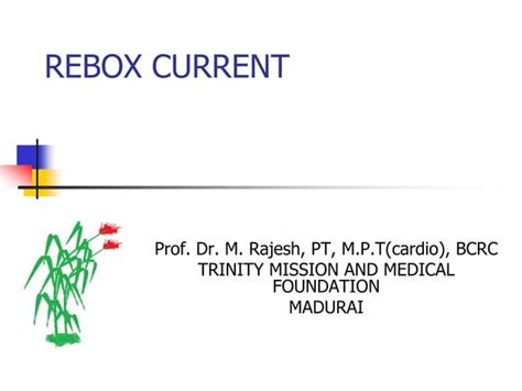 Rebox Ppt