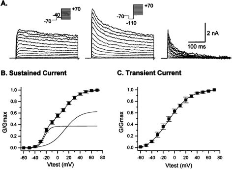 Both Transient And Sustained Voltage Dependent Outward K Current Download Scientific Diagram