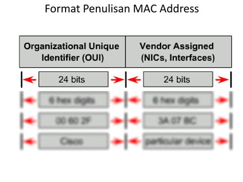 SOLUTION Mac Address Ip Address Dan Subnetting Studypool