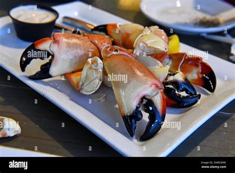 Stone Crab Meat