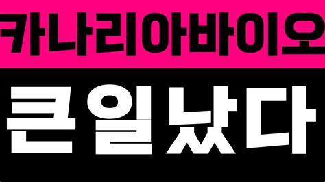 카나리아바이오 ★ 진짜진짜 큰일났네요 영상 꼭 확인하세요 Youtube