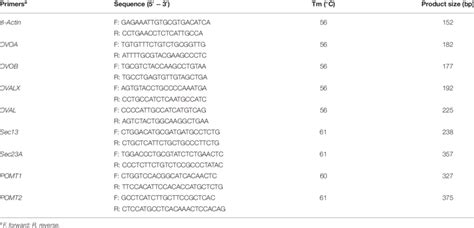 Information For Primer Sequences Download Scientific Diagram