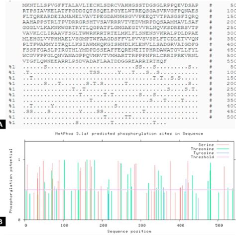 Signal Peptide Prediction Of The Rop38 Protein Of T Gondii Using