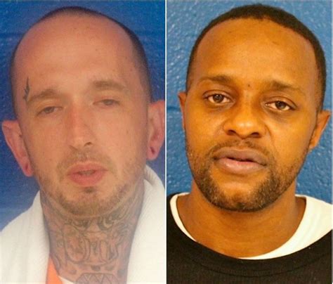 Felon Sex Offender Accused Of Stealing Guns